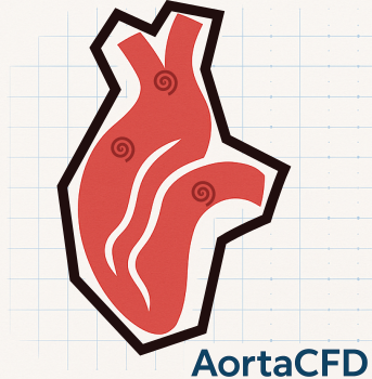 Boundary Layer Toolkit - AortaCFD App
